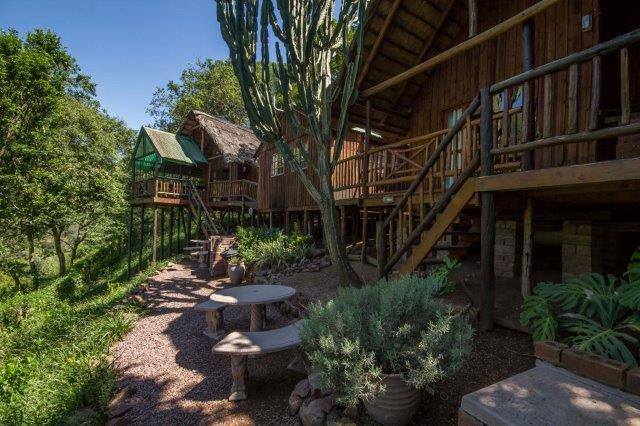Accommodation – Treehouse River Lodge